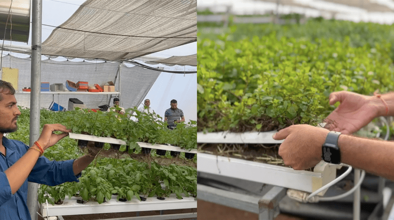 How to choose the best NFT channel for your hydroponics system ...